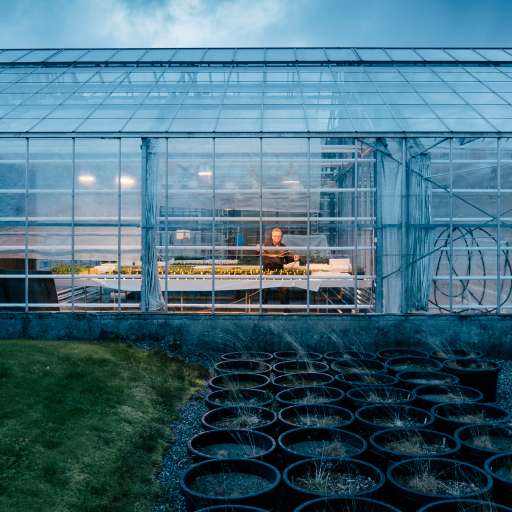 Our divisions - Nibio