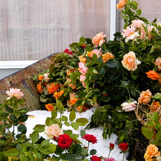 Sustainable management of flower waste - Nibio