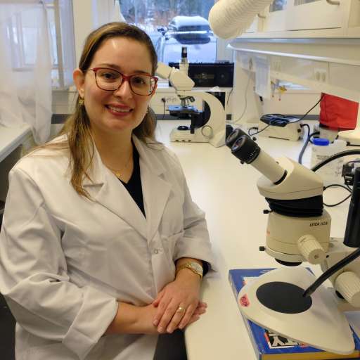 Brazilian and Norwegian researchers collaborating on sustainable food ...