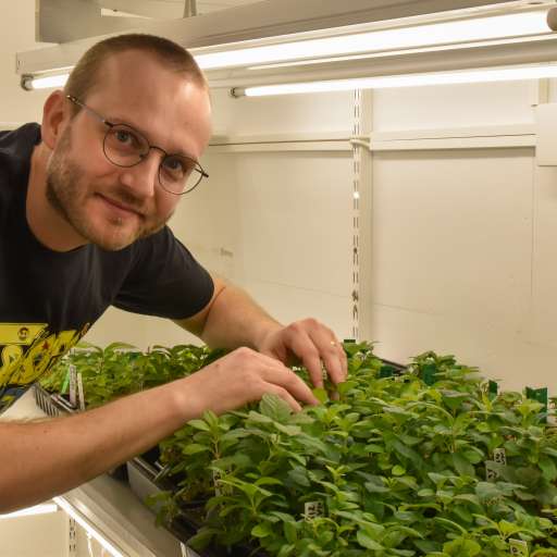 Genetic technology: Healthy scepticism or outdated scaremongering? - Nibio