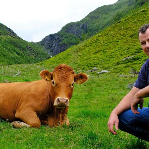 Nutritious food for the four-legged - Nibio