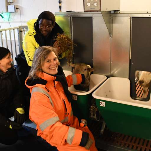 Technological research barn will provide new opportunities - Nibio