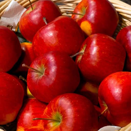 The journey of the Norwegian Christmas apple - Nibio