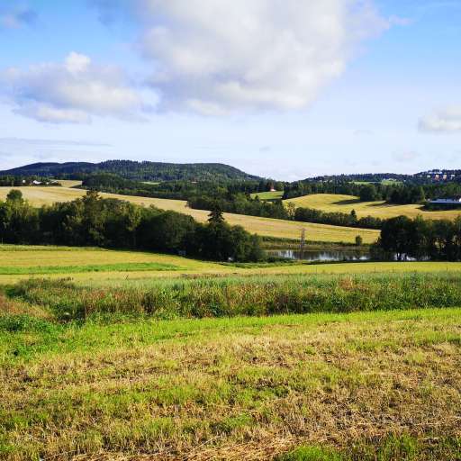 NIBIO activities - Nibio