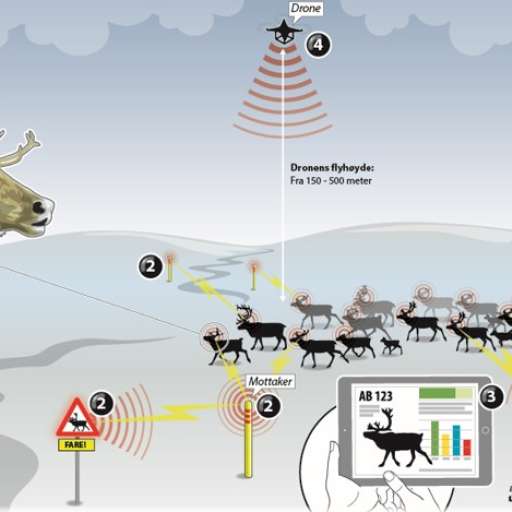 Animal Sense - A competence center for animal sensor technology - Nibio