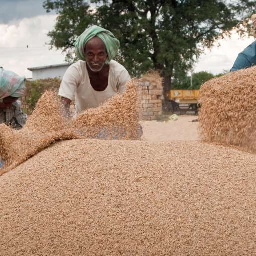 Deliverables - Nibio