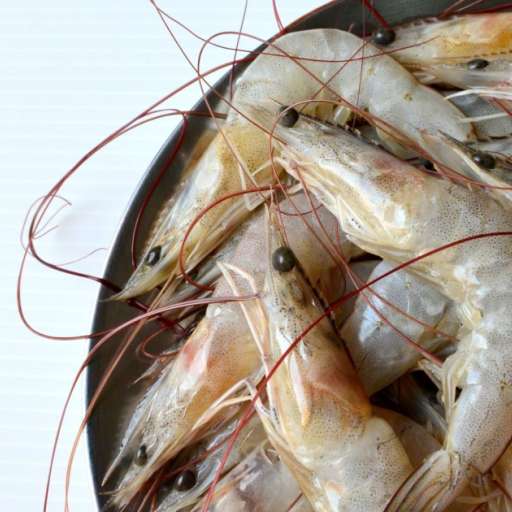 Improvement and innovation of a BIO-secure Recirculating Aquaculture ...