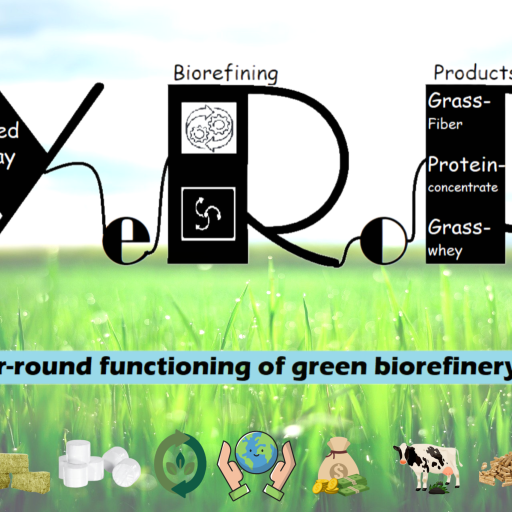 Potential of biorefining fresh and preserved forages for year-round ...