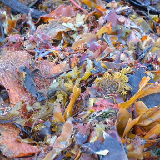 Seaweeds and seaweed-ingredients to reduce enteric methane emissions ...