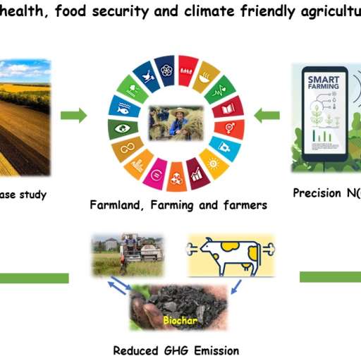 Sinograin III: Smart agricultural technology and waste-made biochar for ...