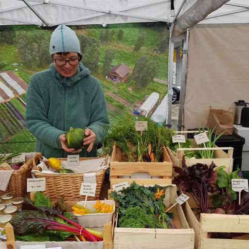 The role of diversified small-scale horticulture in a transition ...