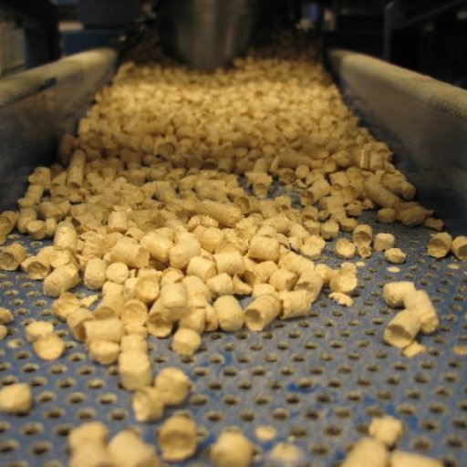 TRIBORN - Background - Nibio