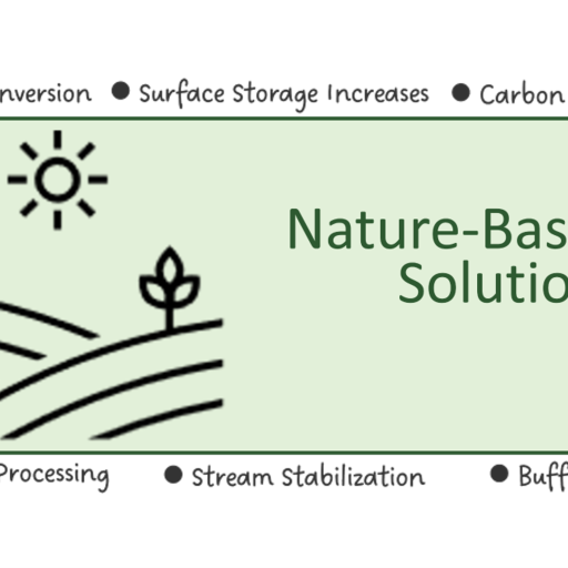 Nature-based solutions - Nibio