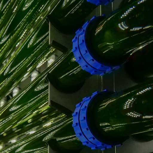 Microalgae for food and feed - Nibio