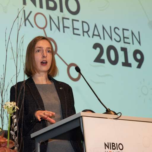 Bioøkonomi: Miljøbidrag eller miljøbedrag? - Nibio