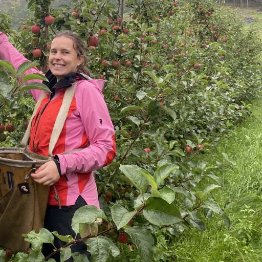 Kan vi få norske epler i butikken året rundt? - Nibio