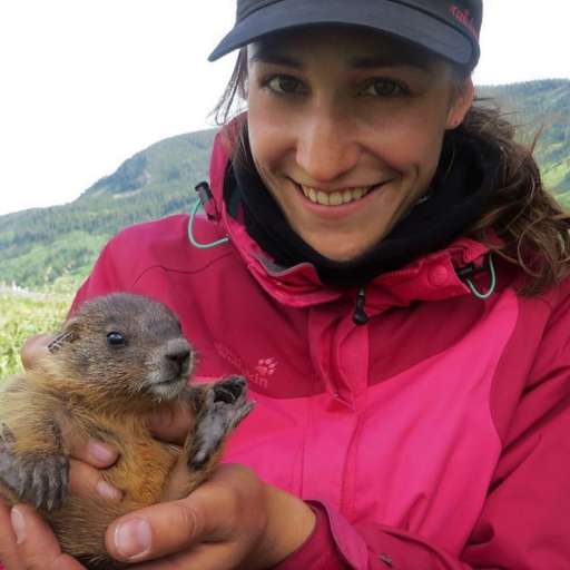 Lidenskap for murmeldyr - Nibio