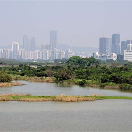 Nutrient recycling needed in order to reach clean water in China - Nibio