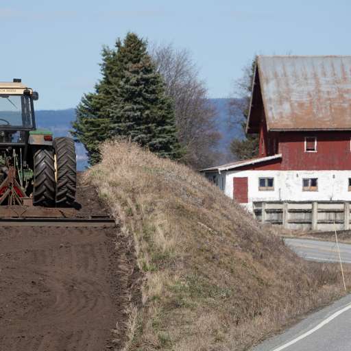 Ti fakta om bønder og tilskudd - Nibio