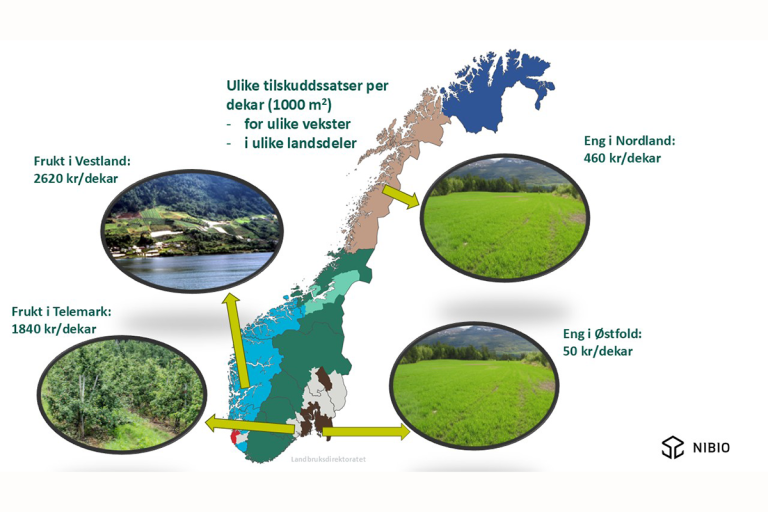 Ti fakta om bønder og tilskudd - Nibio