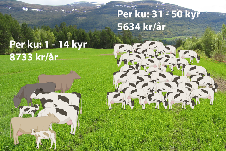 Ti fakta om bønder og tilskudd - Nibio