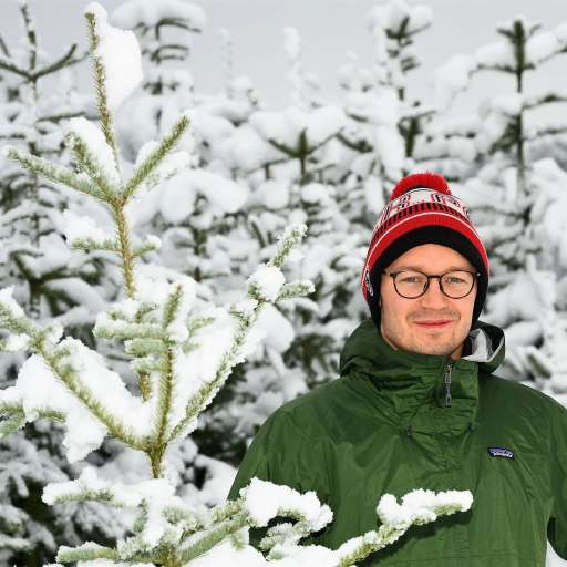 Ti overraskende fakta om juletreet! - Nibio Ti overraskende fakta om juletreet! - Nibio