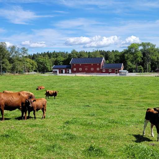 Utsyn over norsk landbruk – ni interessante fakta - Nibio