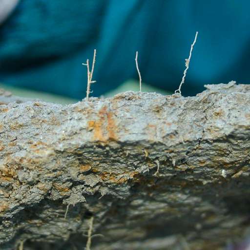 Mer røtter gir mer bærekraftig jordbruk - Nibio