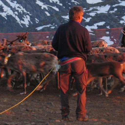 Kartlegging av forskning på reindriftsområdet - Nibio