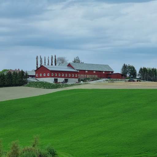 Grønn bioraffinering - Nibio