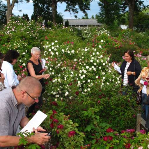 Bevaring av plantemateriale - Nibio