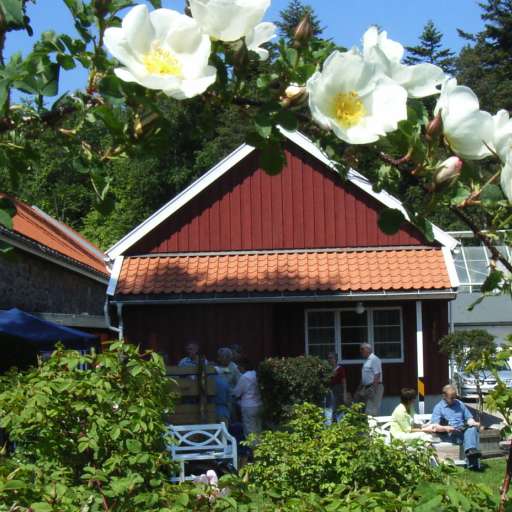 Naturmuseum og botanisk hage, Kristiansand - Nibio