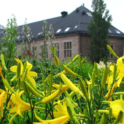 Botanisk hage på Tøyen - Nibio