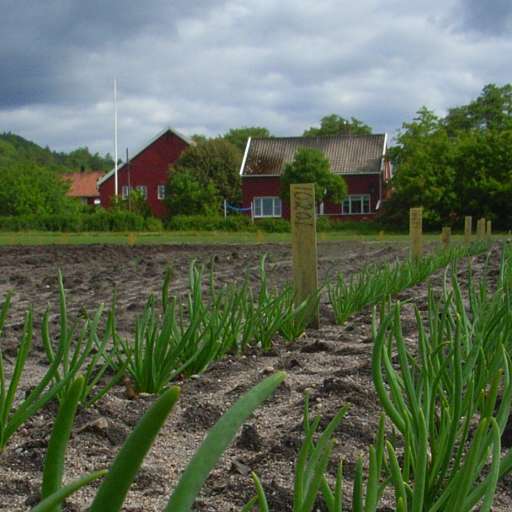 NIBIO Landvik - Nibio