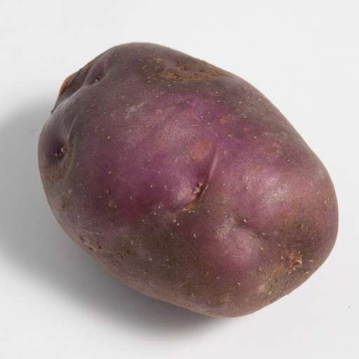 Kerrs Pink med blått skall - Nibio