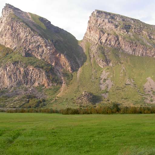 Timoteisort fra overlevende grastuster - Nibio